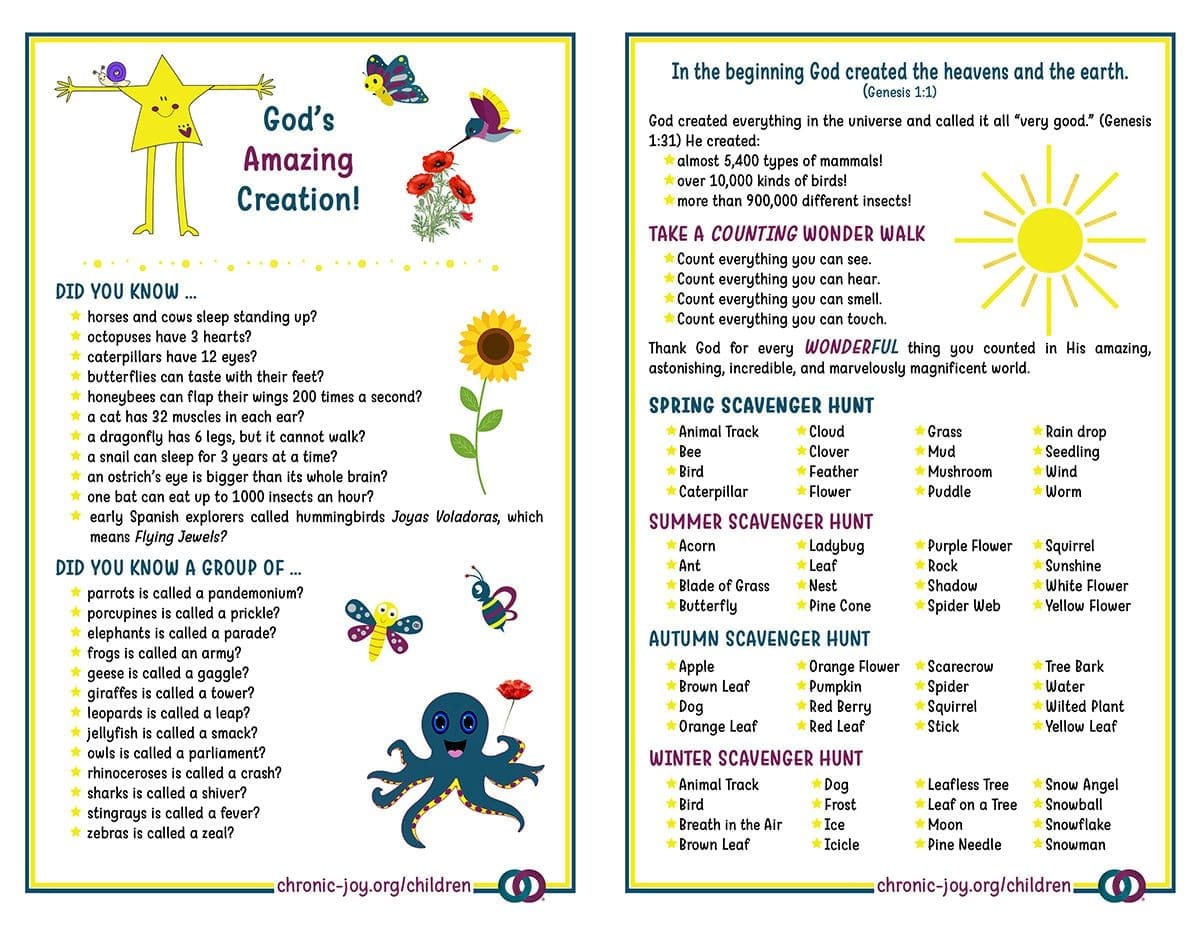 Sparking Wonder • An Adventure in Awe & Delight • Chronic Joy®